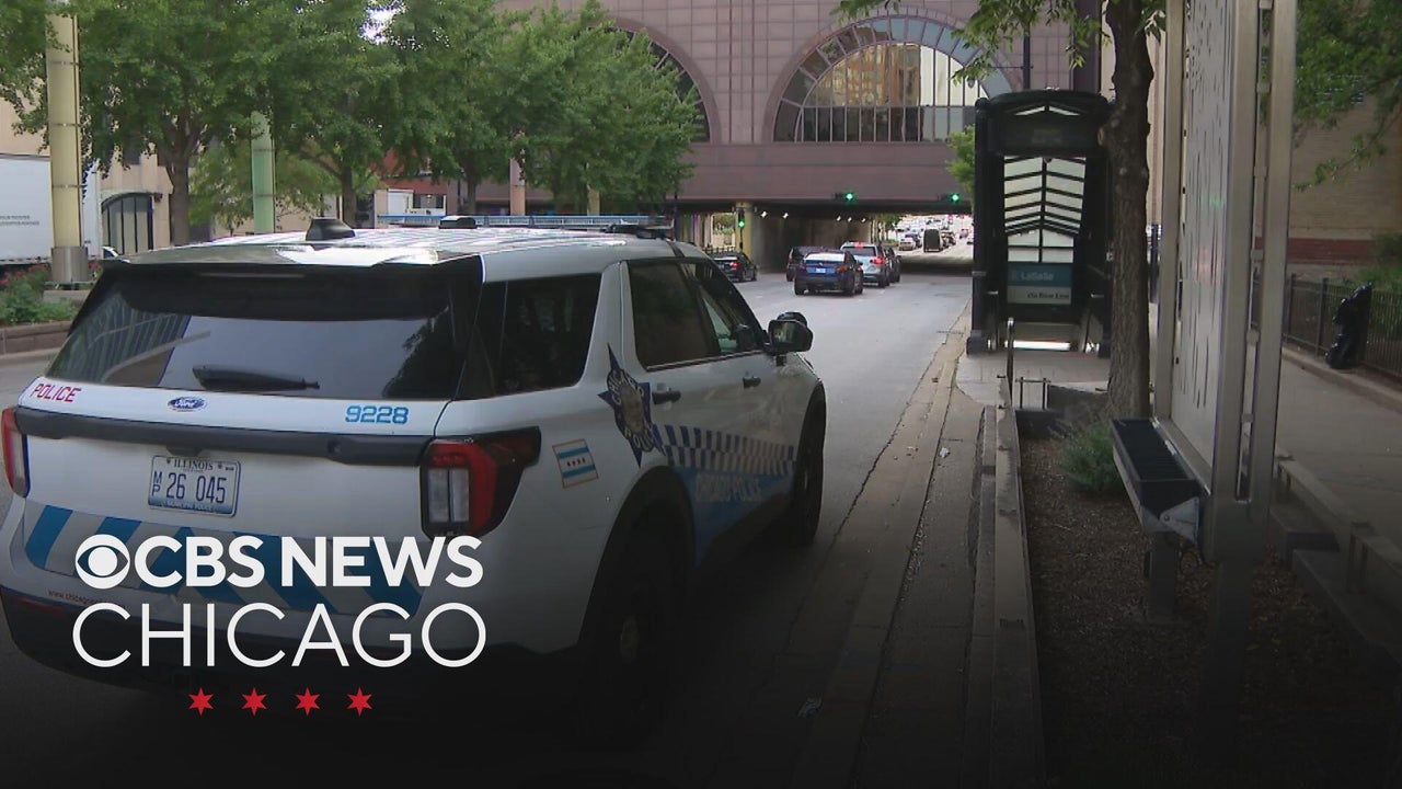 Man stabbed during fight on Blue Line train near LaSalle station