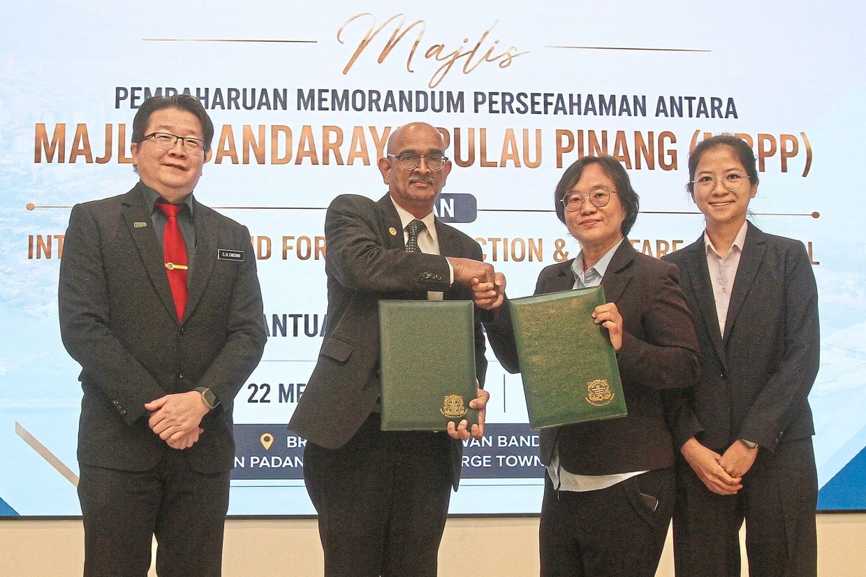 Penang council, NGO renew scheme to neuter strays