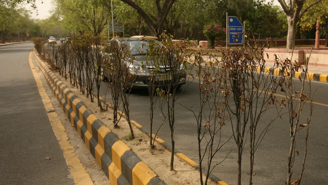 Delhi couple’s home stays cool at 45°C without AC