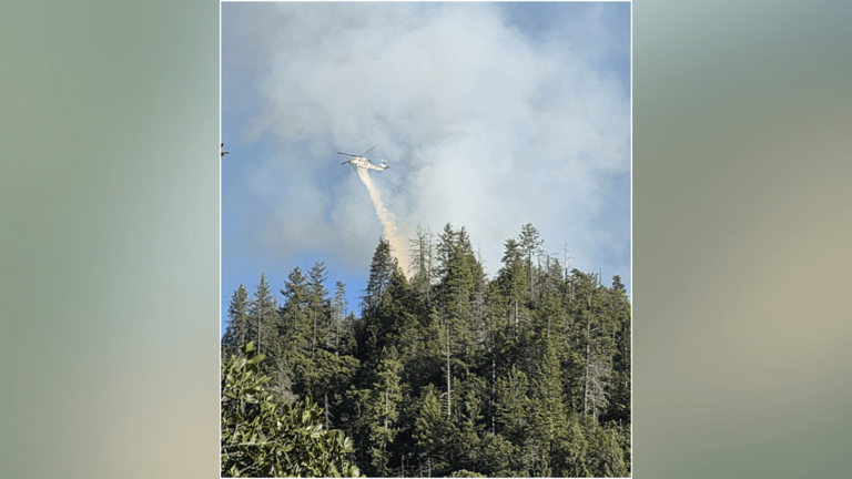 Holland fire burns 4.9 acres in El Dorado County