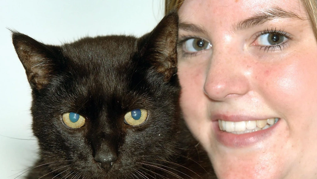 10 inspiring cat rescue stories