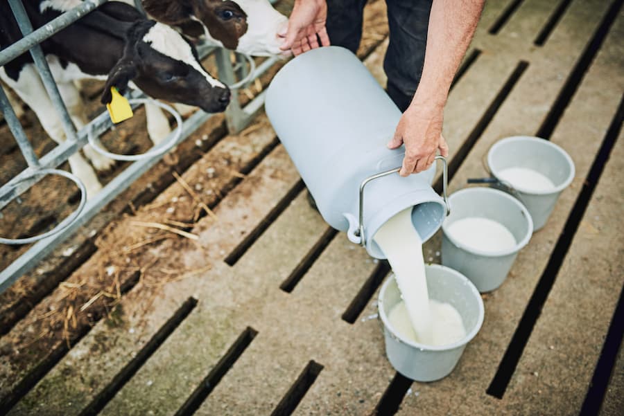 Nearly 60 Idahoans sick after drinking raw milk in past two weeks