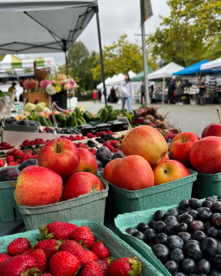 Things to do in Vancouver this weekend (June 5 to 7, 2026)