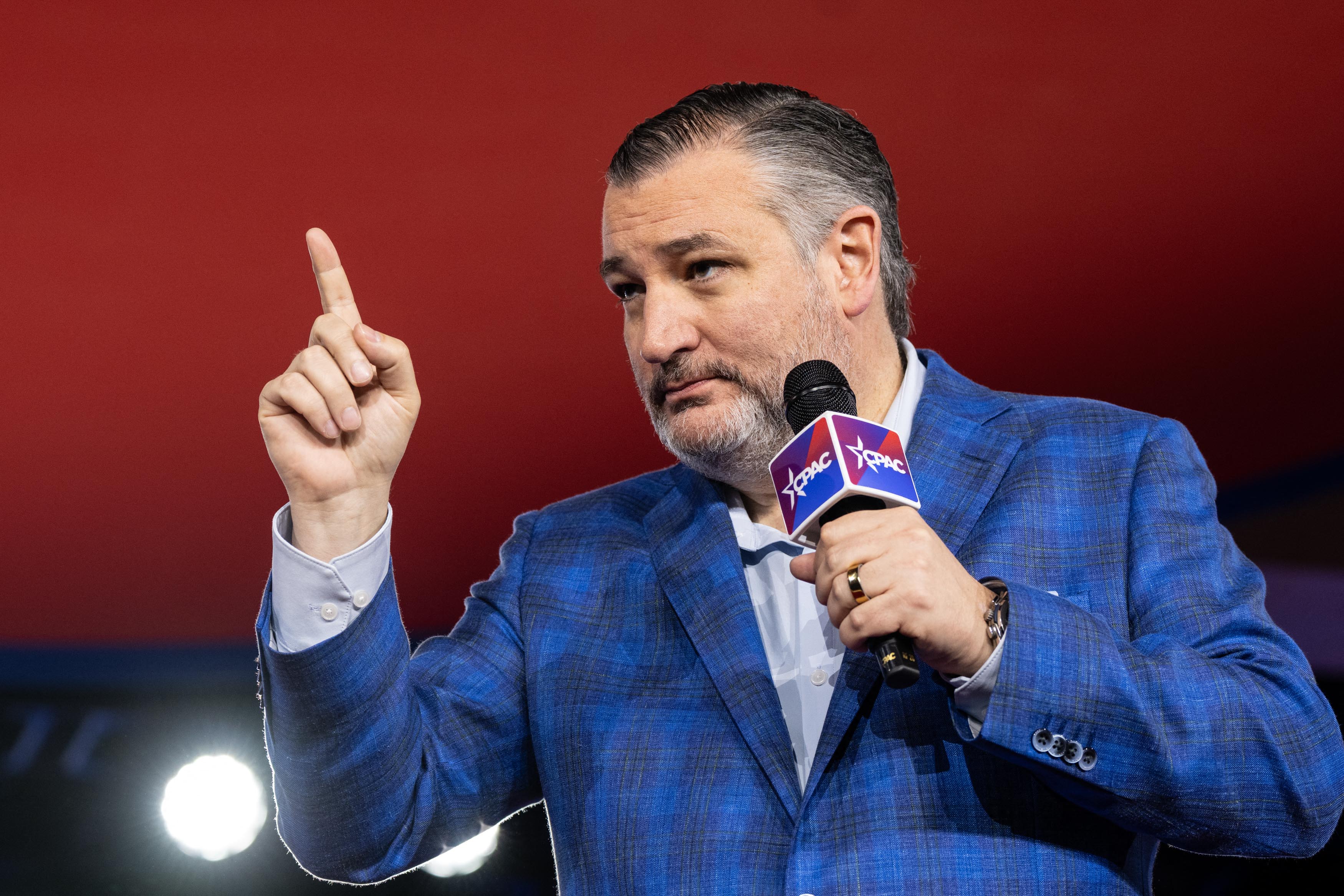 MAGA loyalist and 2020 election denier says Dems don’t believe in ...