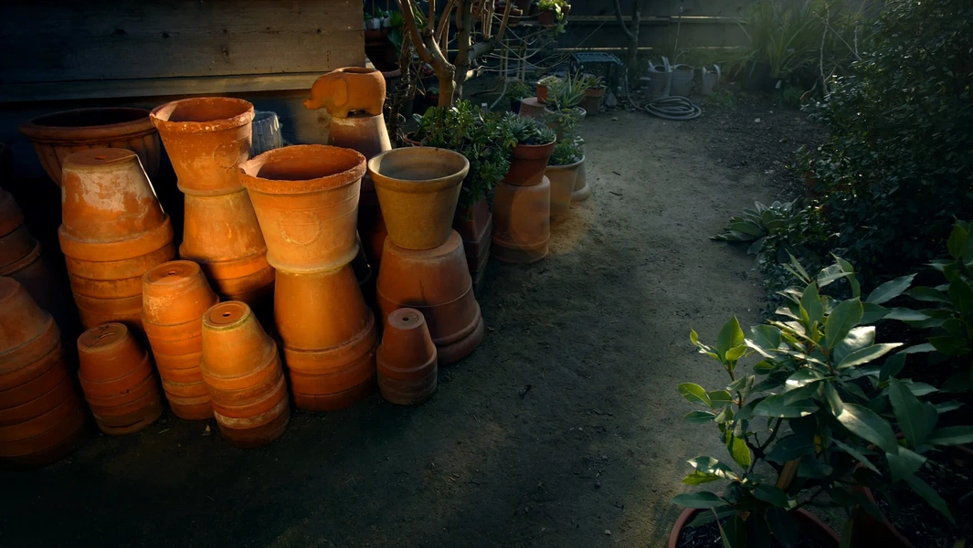 Terracotta tones and gardenscaping set 2026 outdoor trends