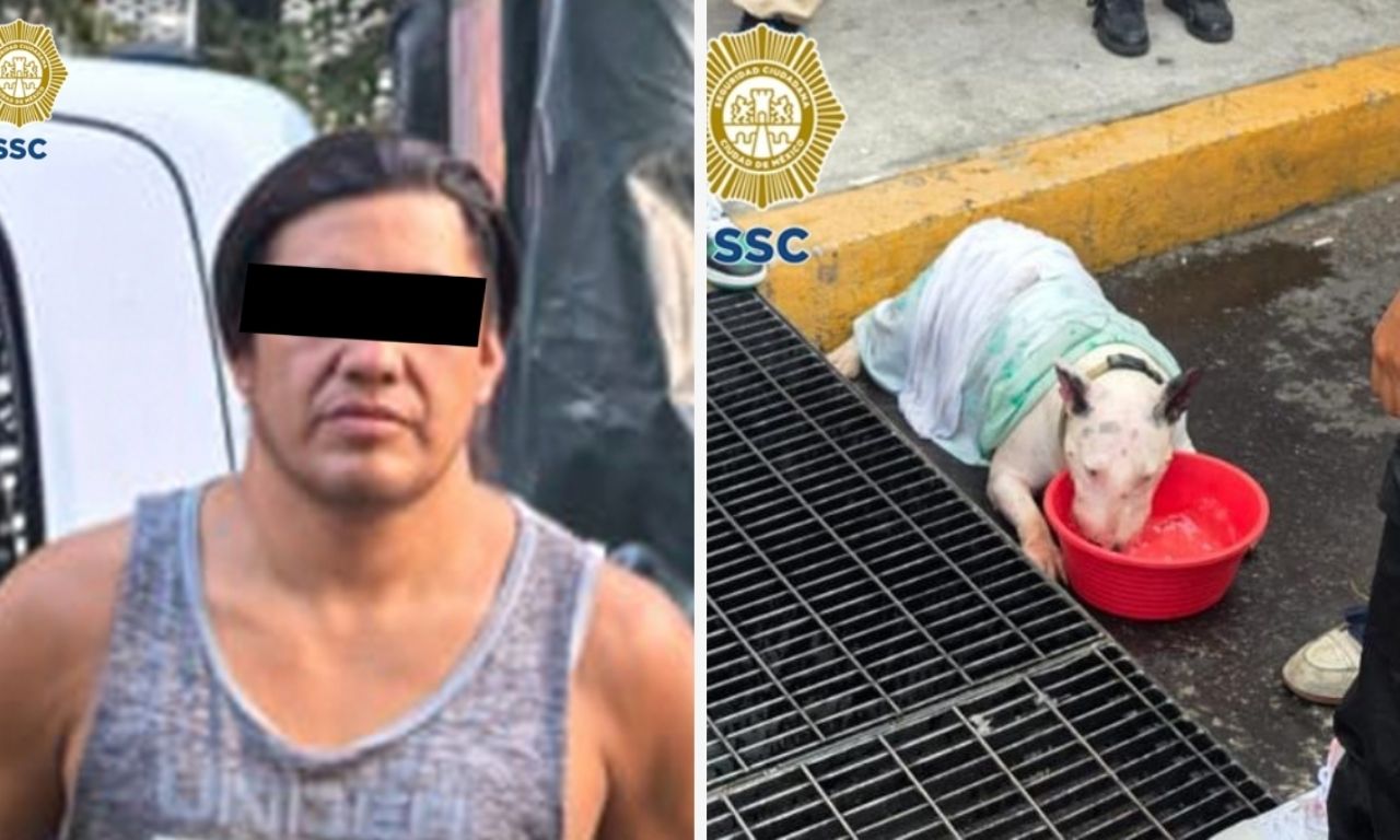 Hombre deja encerrados a dos perros dentro de su carro, vecinos ...