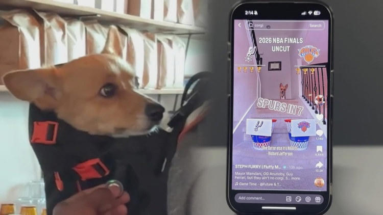 Viral 'Air Corgi' fuels Spurs optimism as NBA Finals tip off