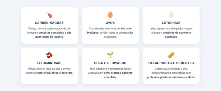 Proteínas e perda de massa muscular após os 40 anos: qual a ingestão ...