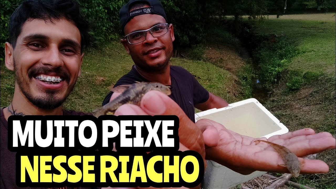 Muito peixe de aquário no riacho: pesca de peneira