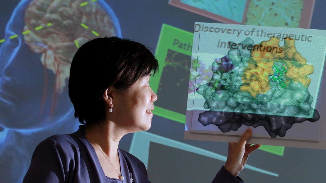 Tau protein found crucial for preserving long-term memories