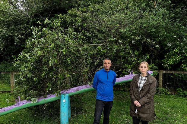 Fallen tree disrupts children's play area