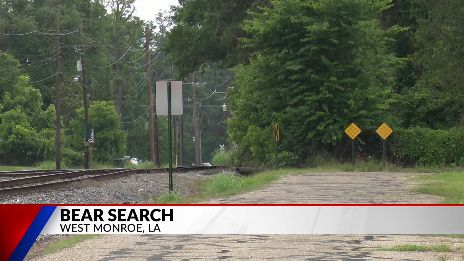 Bear search took place today in West Monroe