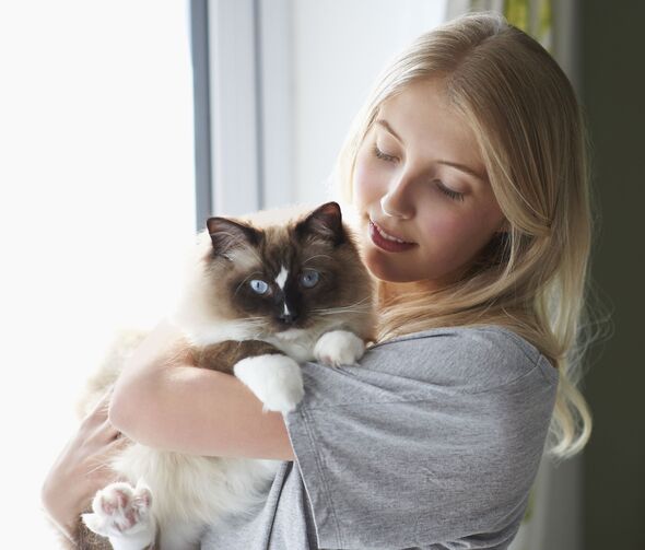 What cats really think when you hug and kiss them to show your love