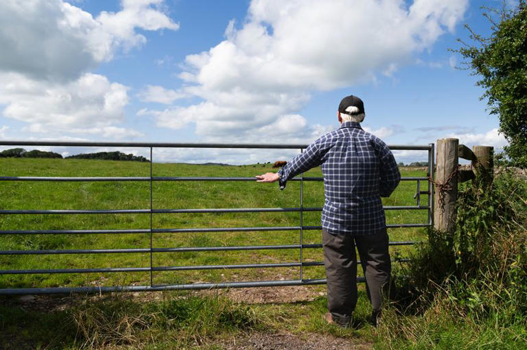 Irish farmers and city slickers have more in common than they think ...