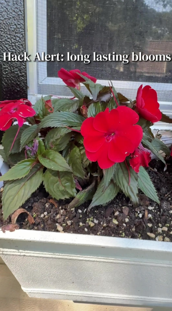 How to make flowers bloom longer and boost garden yield