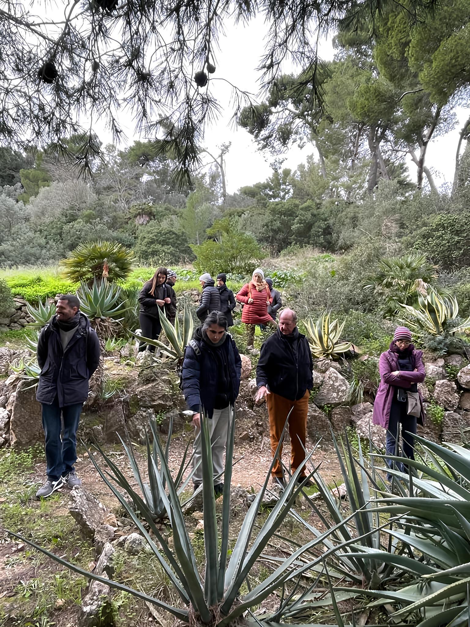 L’orto botanico diventa arena. Al Corsini va in scena la rassegna 'Ti p ...