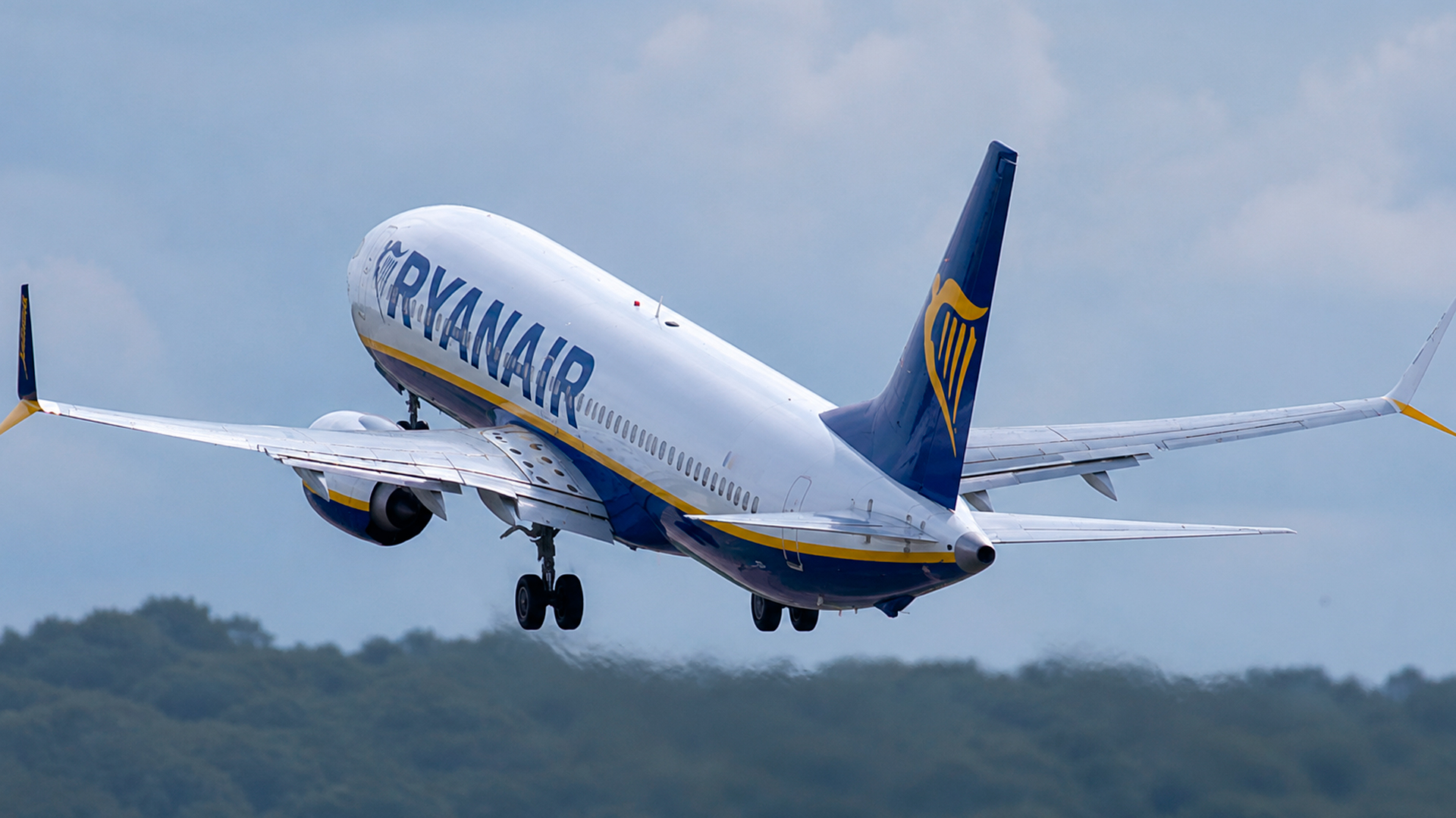 Ryanair bird strike caught on camera