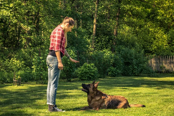 Vets say these 5 breeds need the most careful handling
