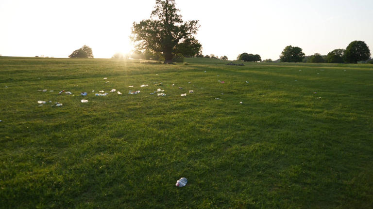 Disgust at litter left in grouds of Chatsworth House where lambs and ...