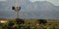 After the storm in the Klein Karoo: A book tour becomes a post-flood ...
