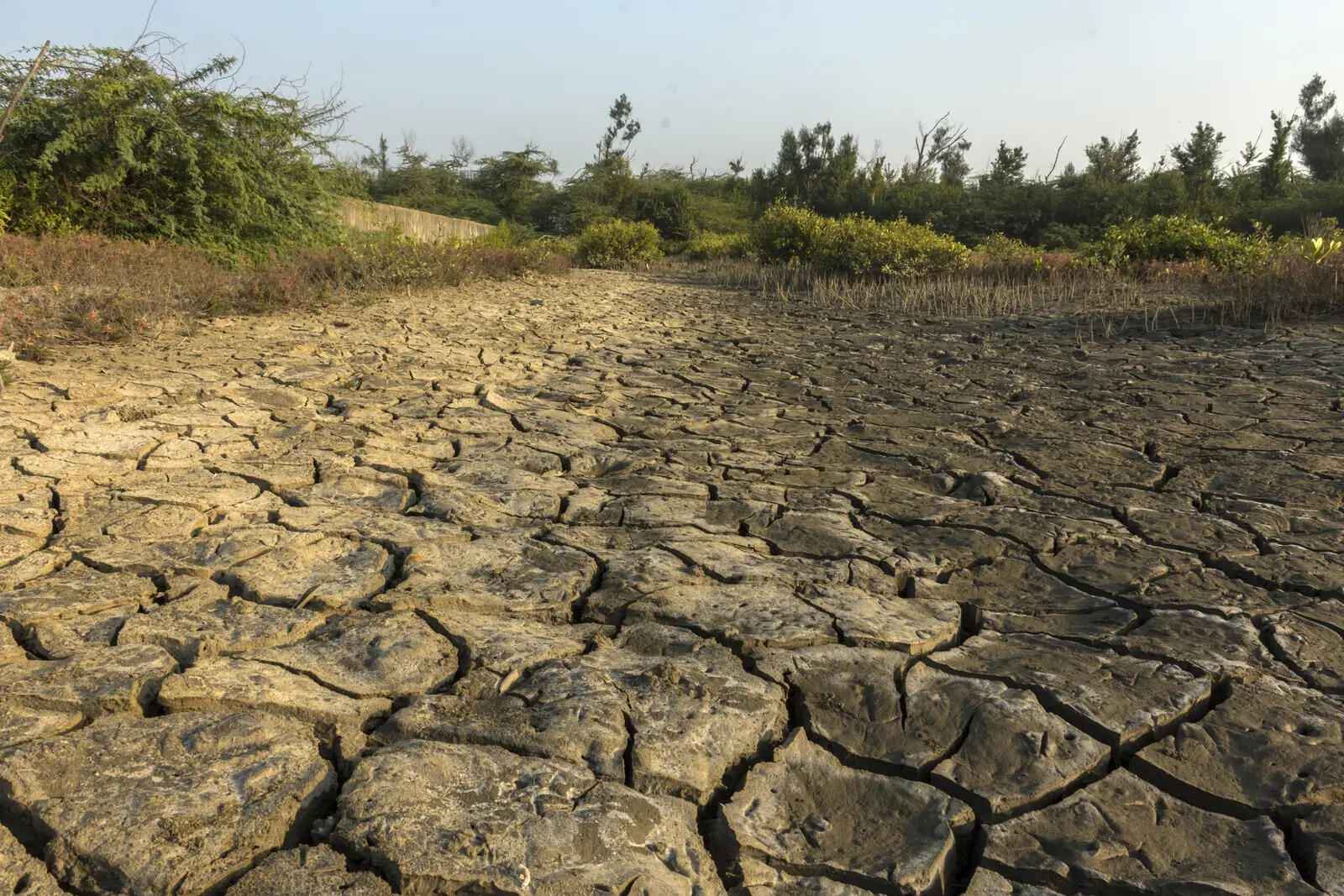 Global warming likely to exceed 1.5C through 2030, WMO says