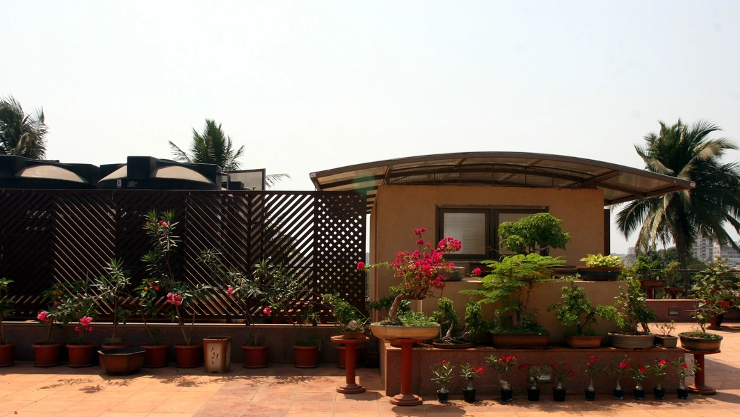 Vastu balcony plants for peace and prosperity