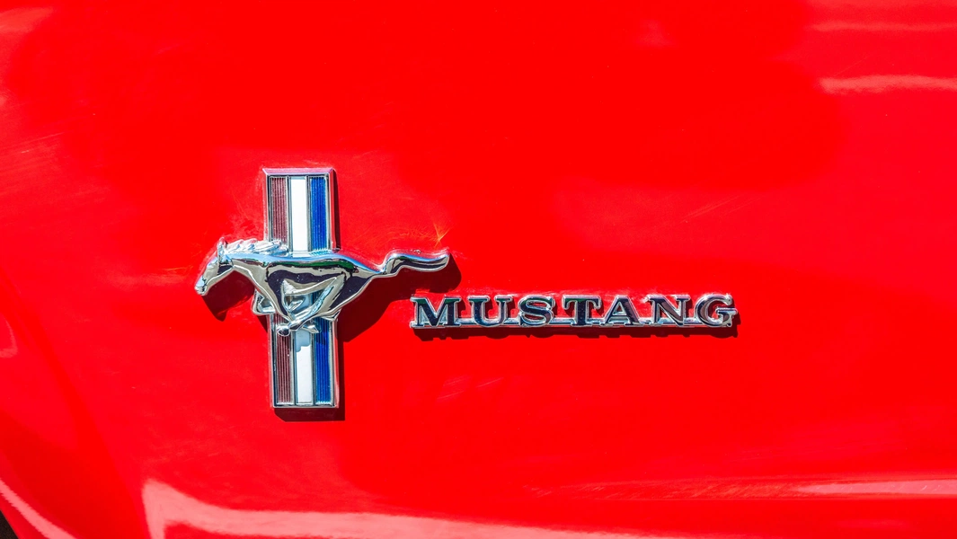 17 treasures found at Ron’s Auto Salvage