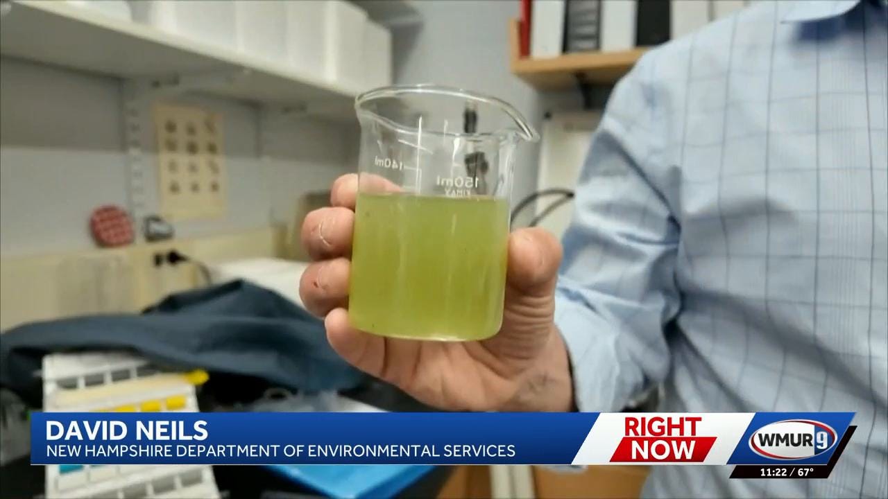 Cyanobacteria blooms reported on Swains Lake, officials say not ...