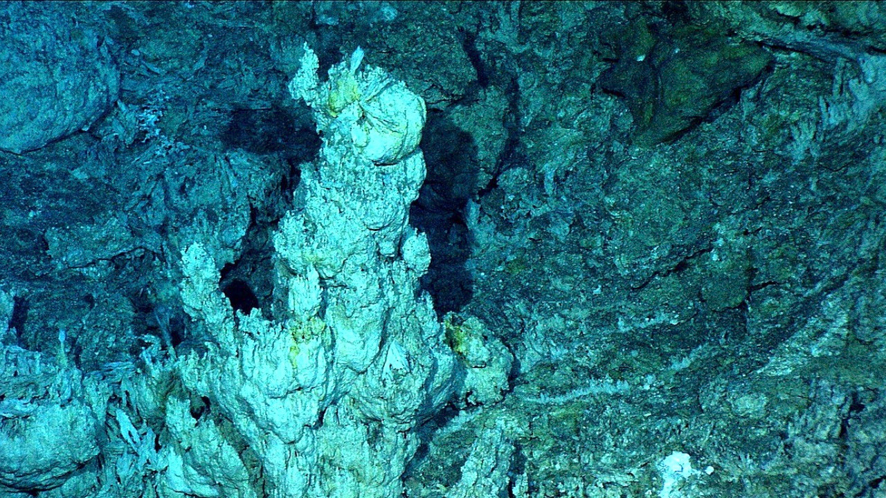 A closer look at the ocean's Lost City and life beyond Earth