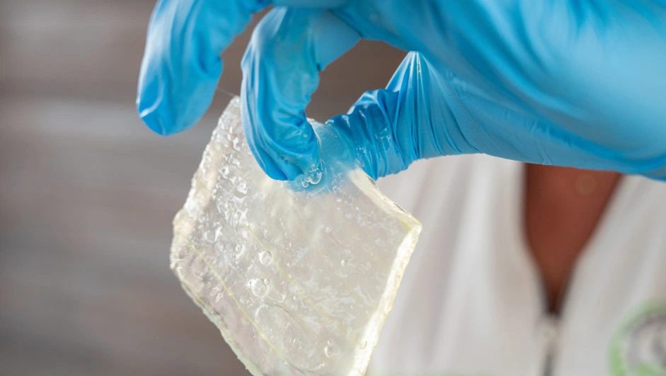 Aloe vera secrets for glowing skin and happy gut