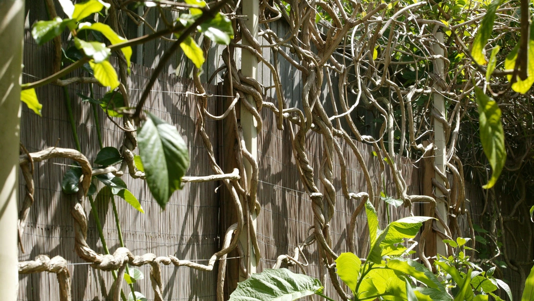 10 creative DIY outdoor privacy screens