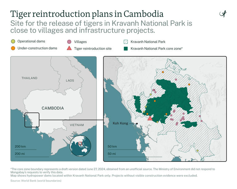 Bengal tigers in Cambodia? Reintroduction plan raises questions