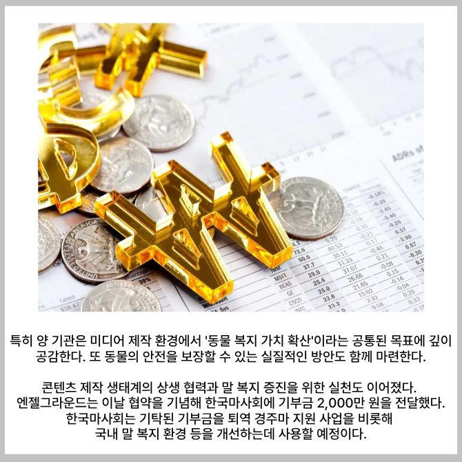 [카드] 한국마사회·엔젤그라운드, 말 복지 환경 조성 MOU 체결