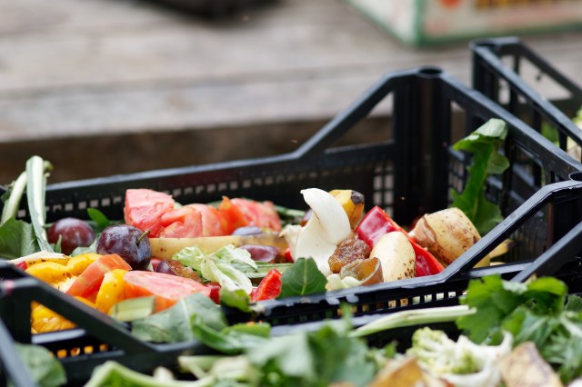 Canada racks up $58 billion in avoidable food waste as 'invisible ...