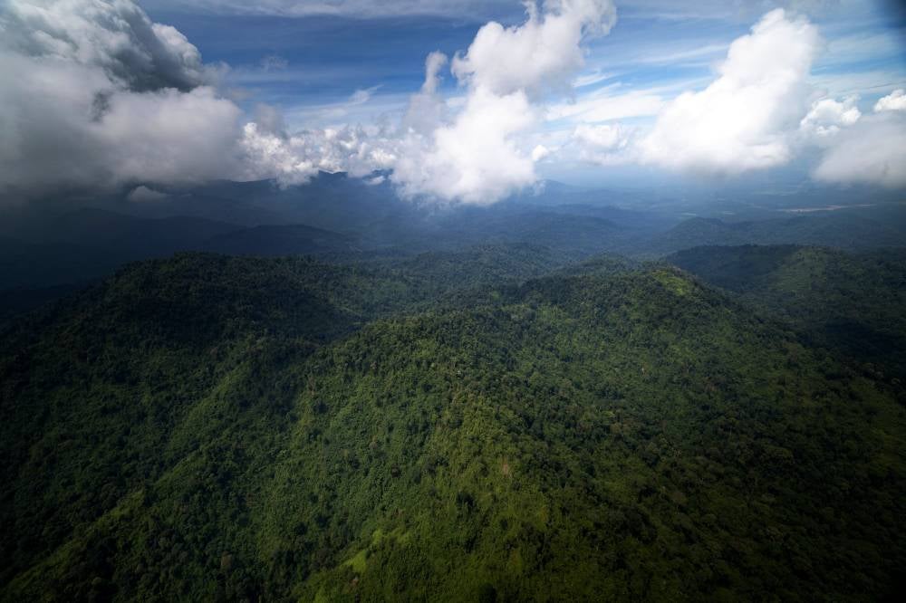 Hiking activities at Gunung Batu Putih temporarily suspended - Perak ...