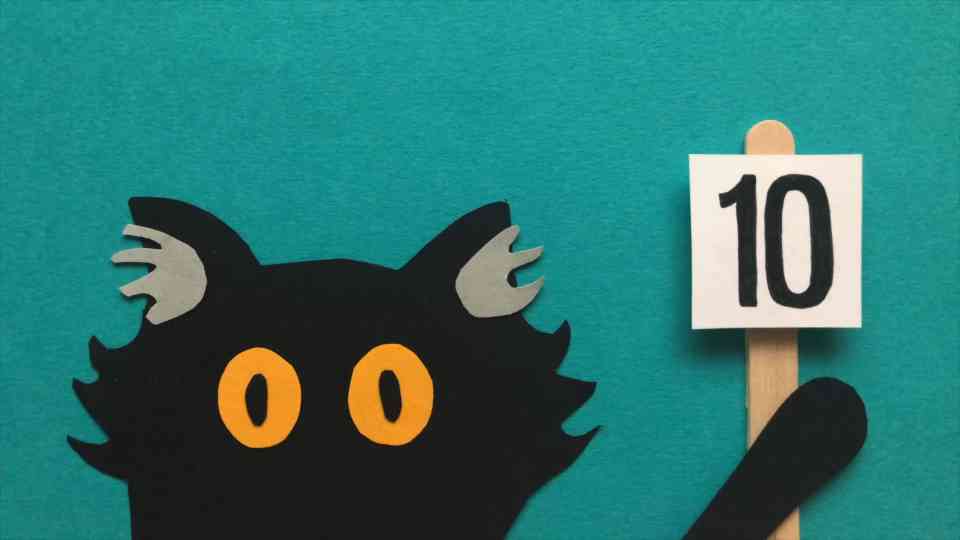 Crazy cat gadgets put to the test – which ones actually work?