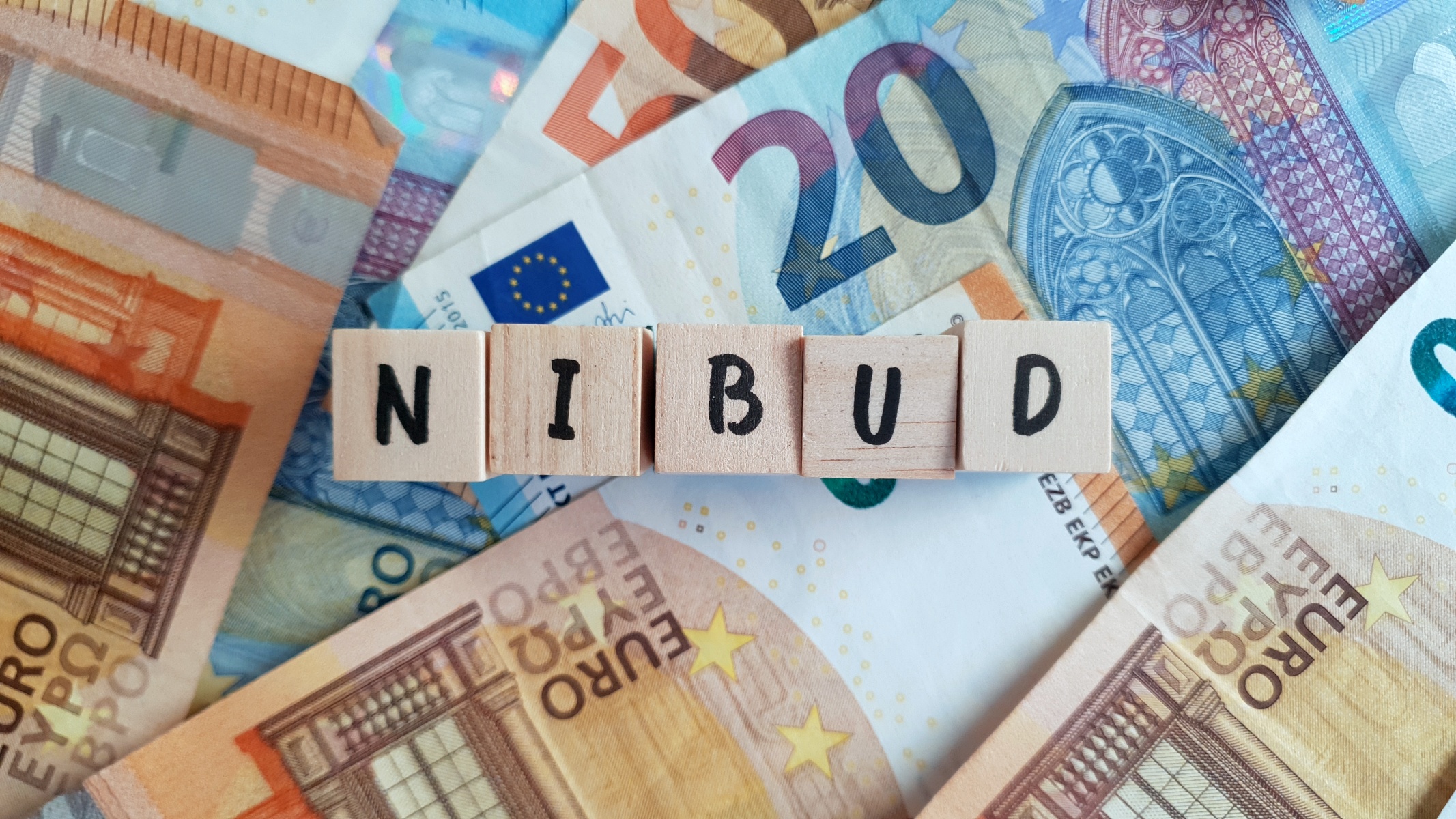 Zoveel spaargeld heb je nodig per situatie volgens nieuwe Nibud-tool