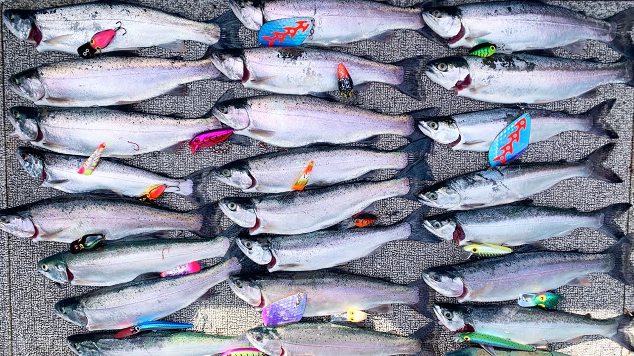 Trout fishing massacre! (Secret lures & rigs)