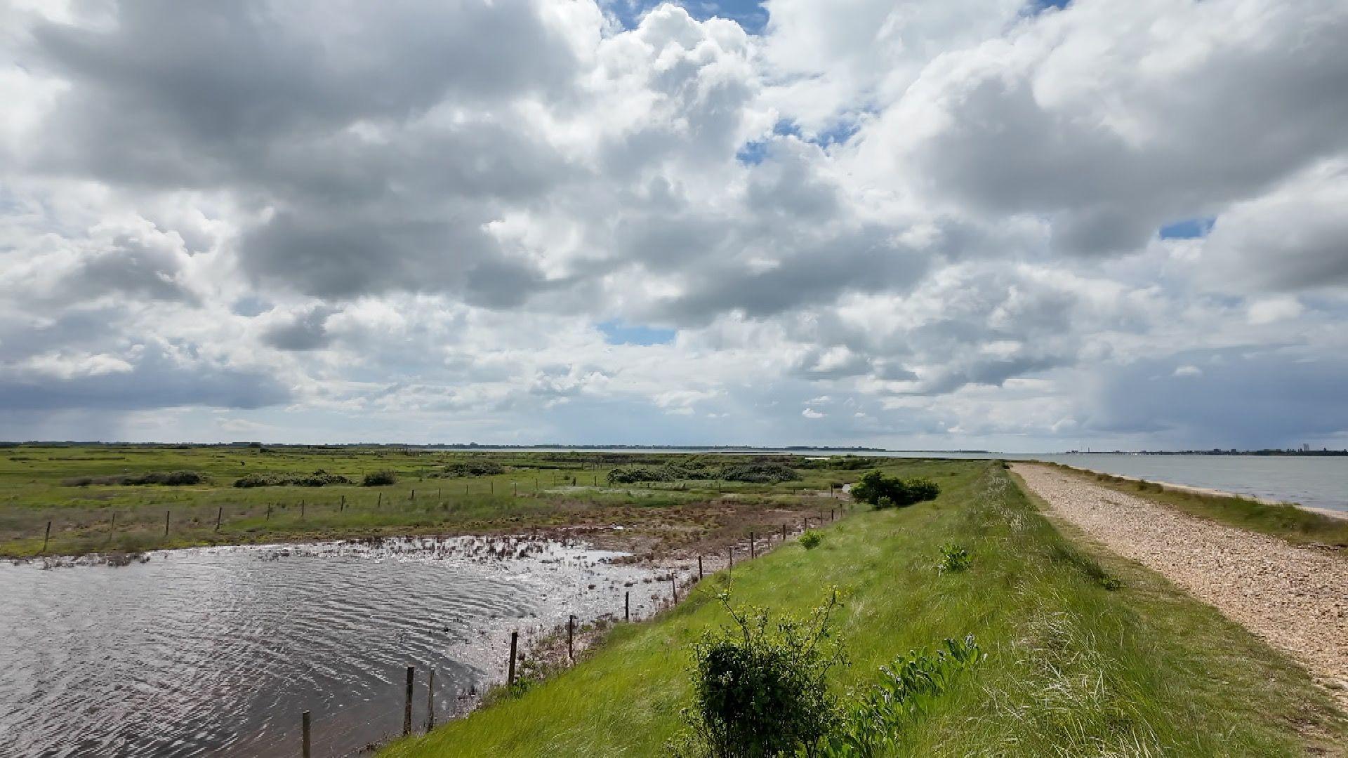 Failing sea defences 'disaster' for nature reserve