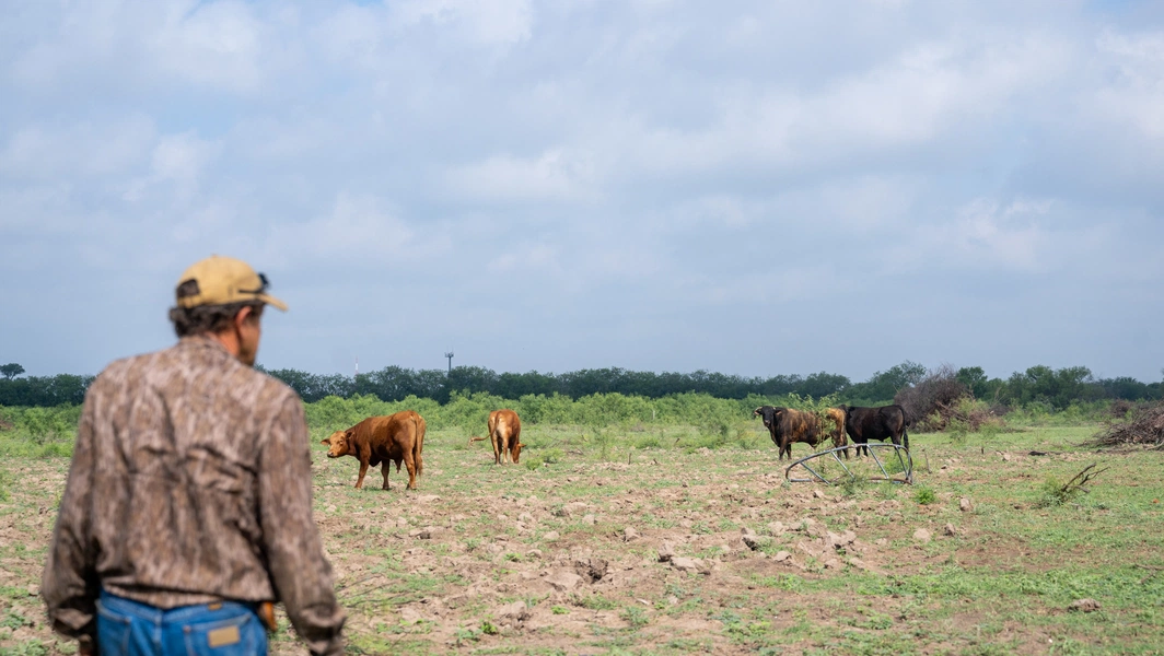 Rising beef prices push Texas BBQ icons to closure