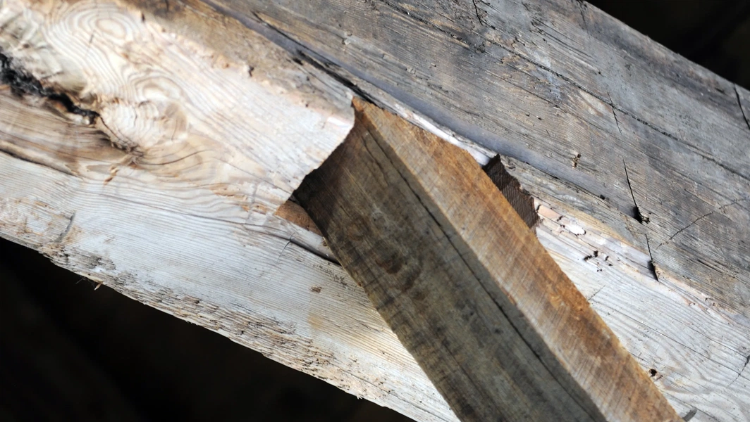 Why old wood still wins in building
