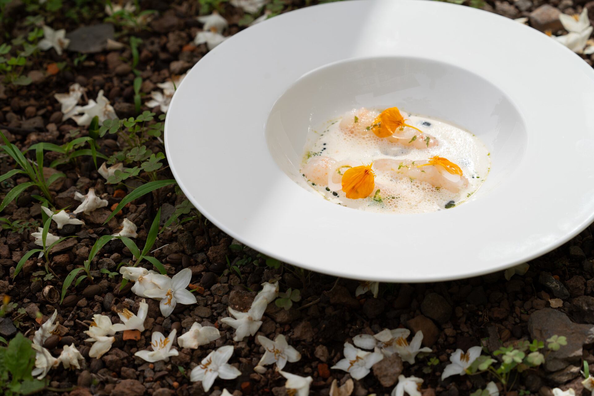 Jeju Food and Wine Festival celebrates global chef collaborations