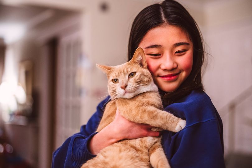 Pet expert shares what cats really think when you hug and kiss them