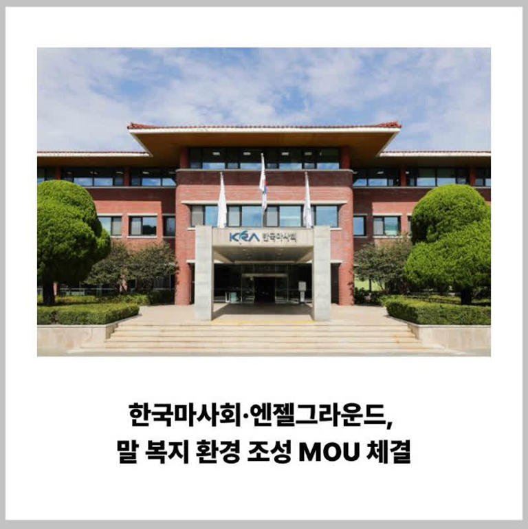 [카드] 한국마사회·엔젤그라운드, 말 복지 환경 조성 MOU 체결