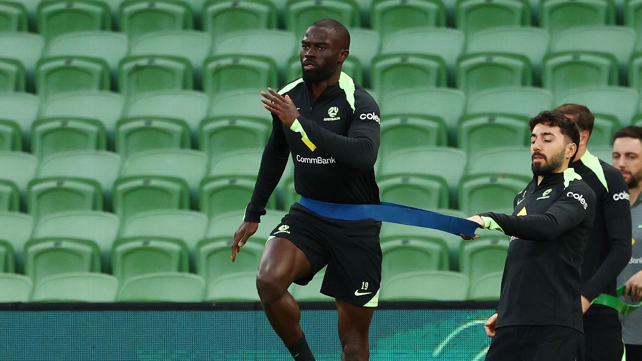 Socceroos World Cup daily: Geria thriving in Popovic's setup