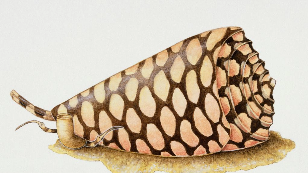 15 animals with deadly venoms and toxins