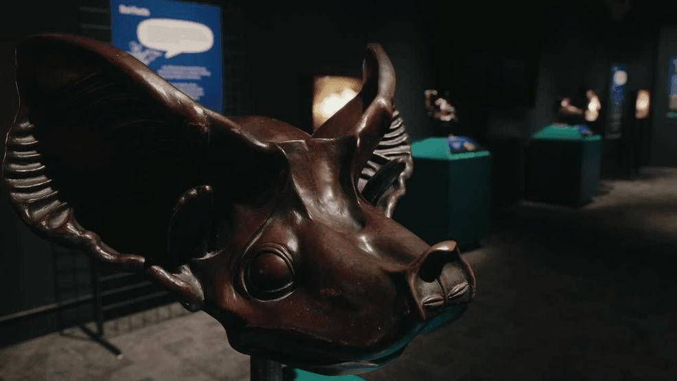 New bat exhibit “Masters of the Night” opens at Texas Science & Natural ...