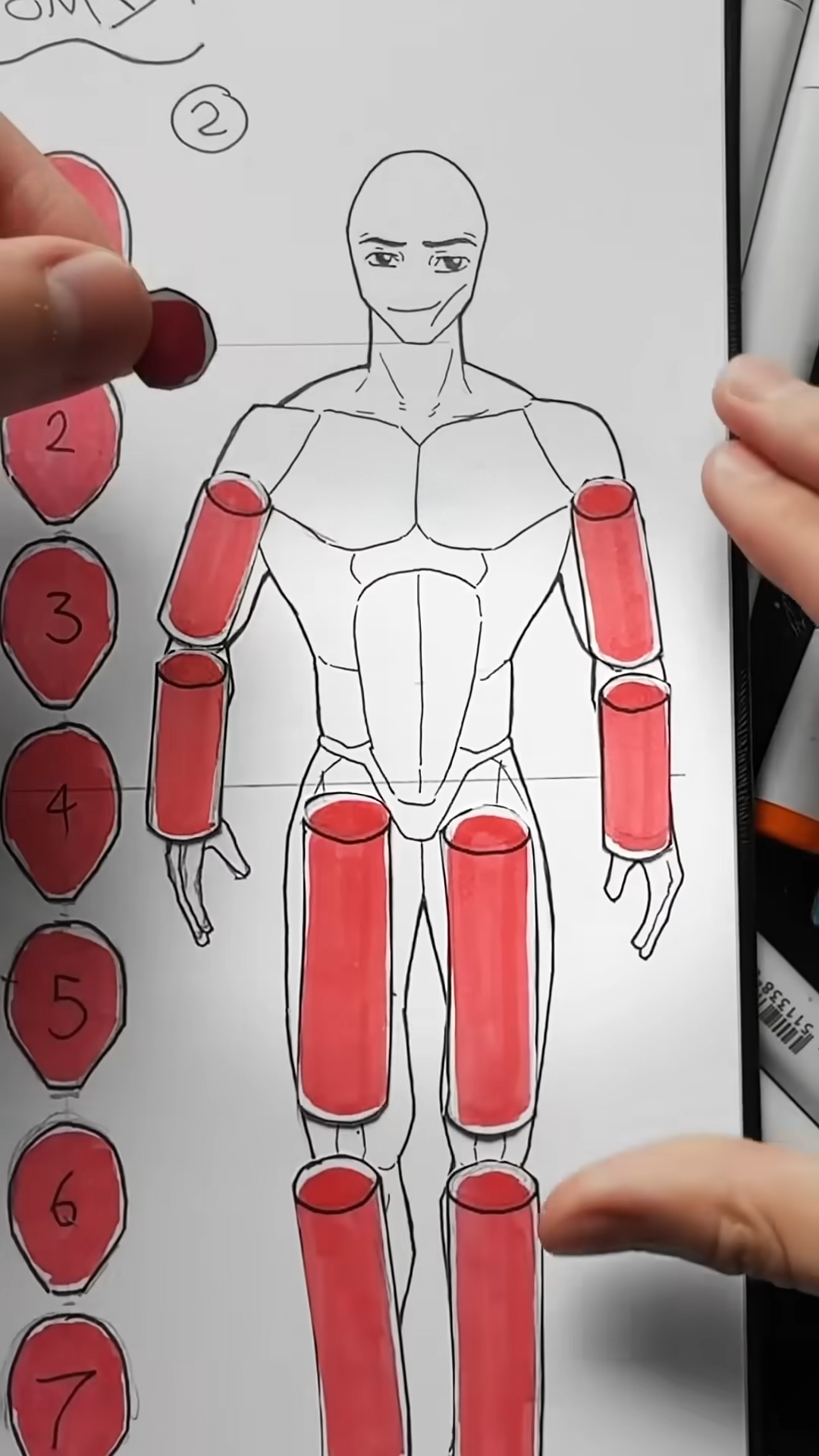 Are you struggling with muscles? Simplify your art with basic shapes