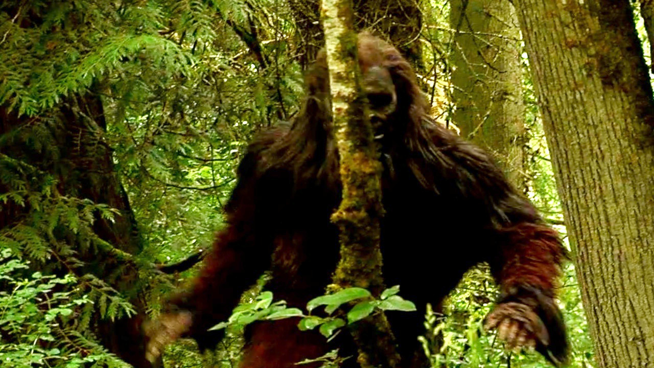 A closer look: Scientists near an answer in the Bigfoot mystery