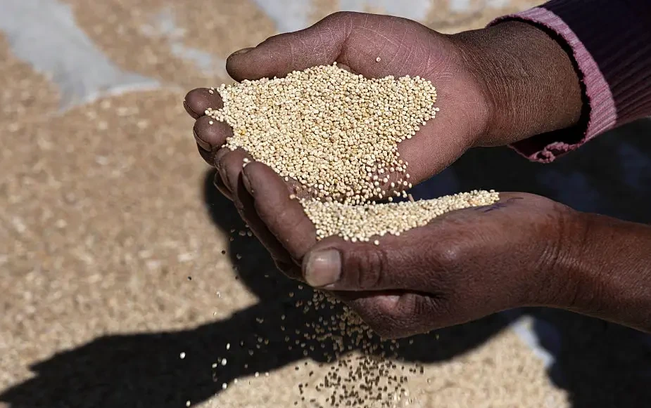 Quinoa ideas to keep your meals exciting